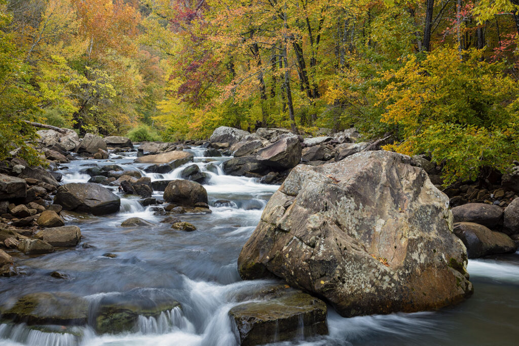 Boulder Fall Foliage | Photographic Society of Northwest Arkansas